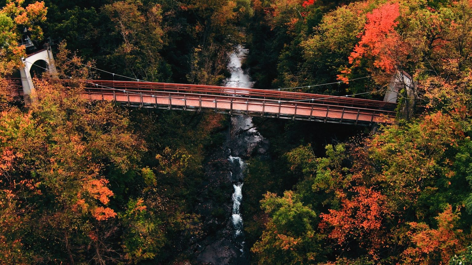 Blog Posts - Experience River Falls